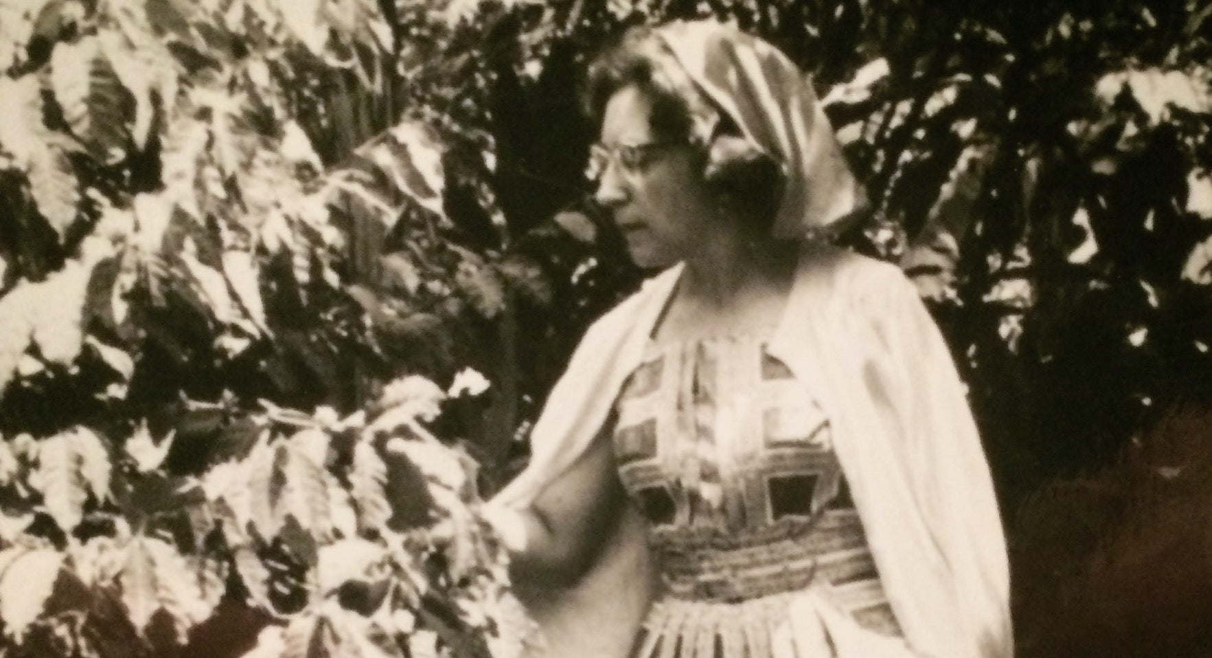 The Women of H. R. Higgins - Audrey Higgins – H.R.Higgins (Coffee-man) Ltd.